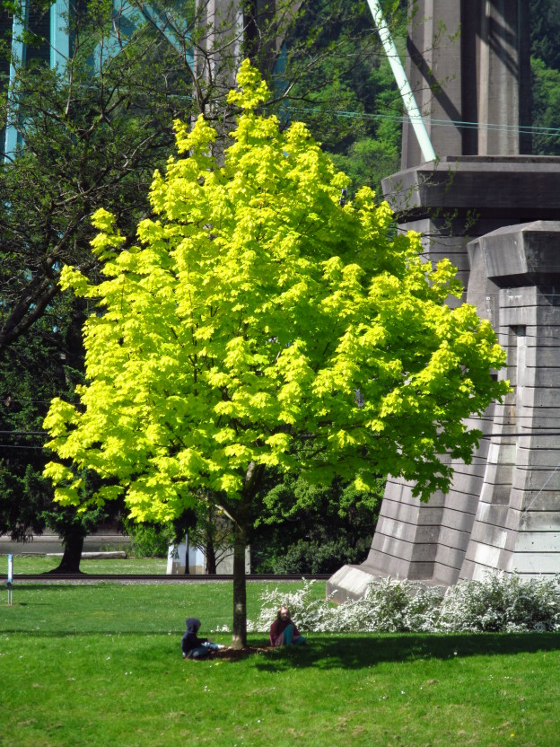 Quiet Homeschooling – Kortney Garrison